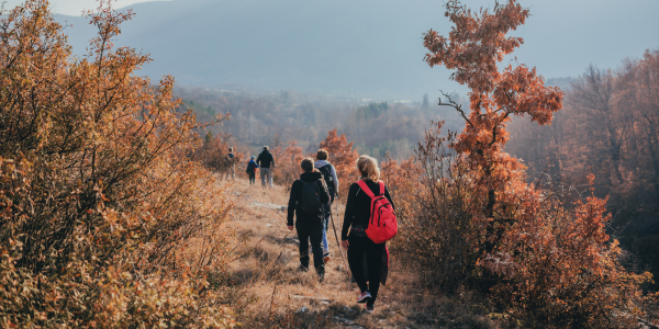 Hamilton ETFs Announces September 2023 Distributions – Hamilton ETFs